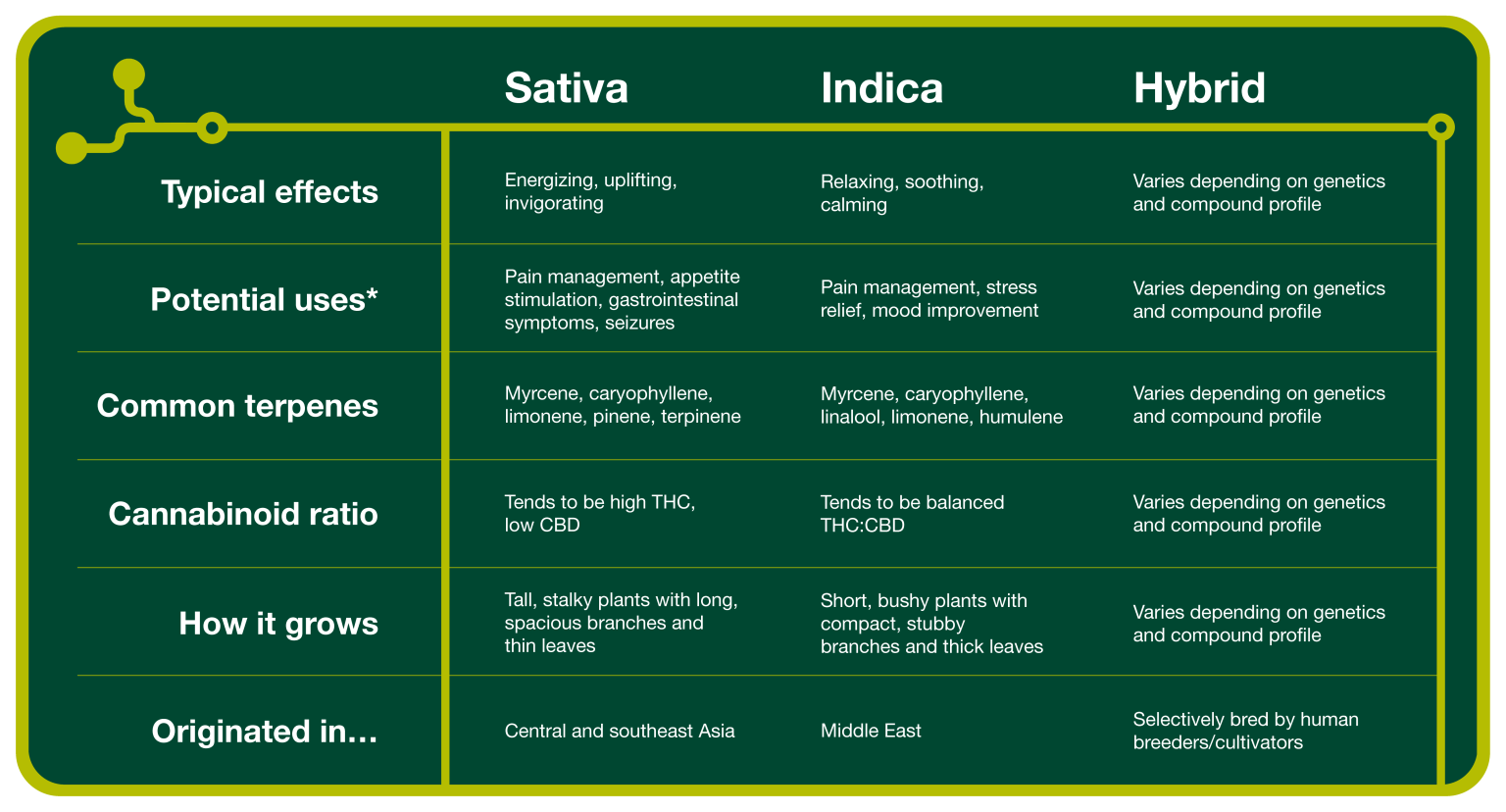 Sativa vs Indica vs Hybrid: See The Differences In One Chart • The Plant Blog
